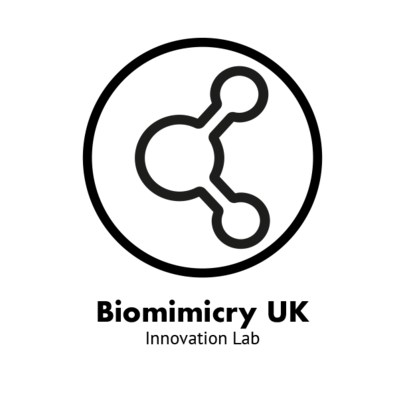 Biomimicry - How we can innovate like nature - Biomimicry Institute UK ...